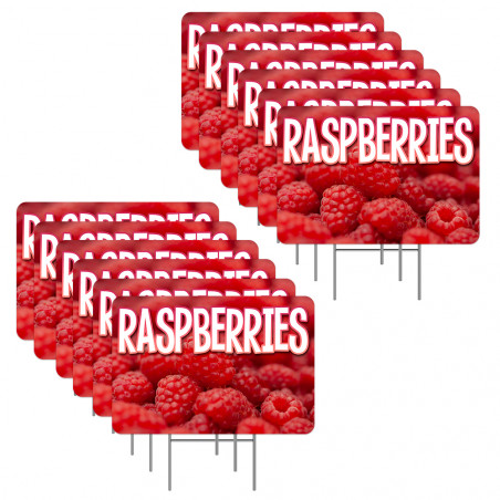 Raspberries 12 Pack Yard Signs - Each Sign is 24" x 16" Single-Sided ...